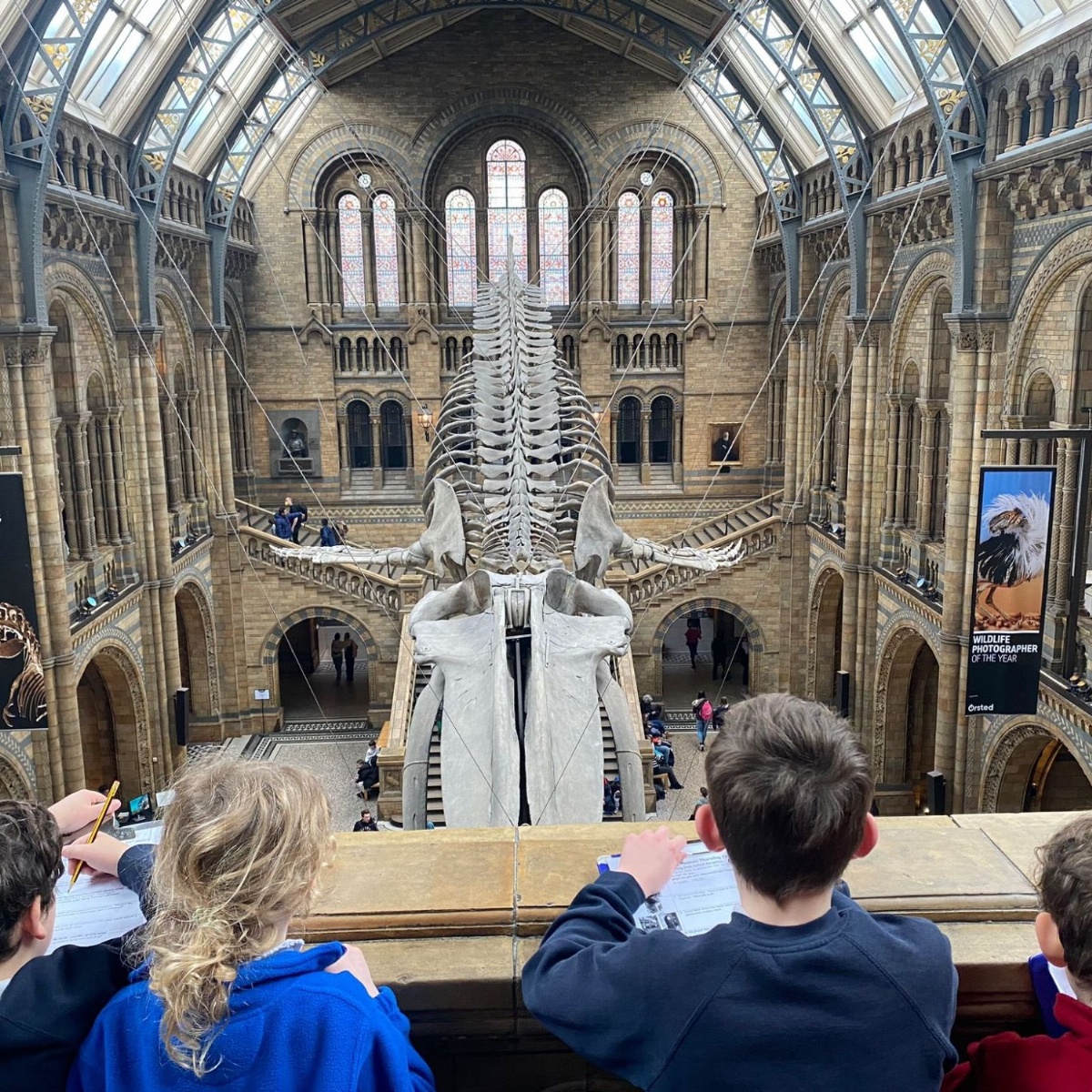 Holy Trinity Pewley Down School - Year 2 Natural History Museum