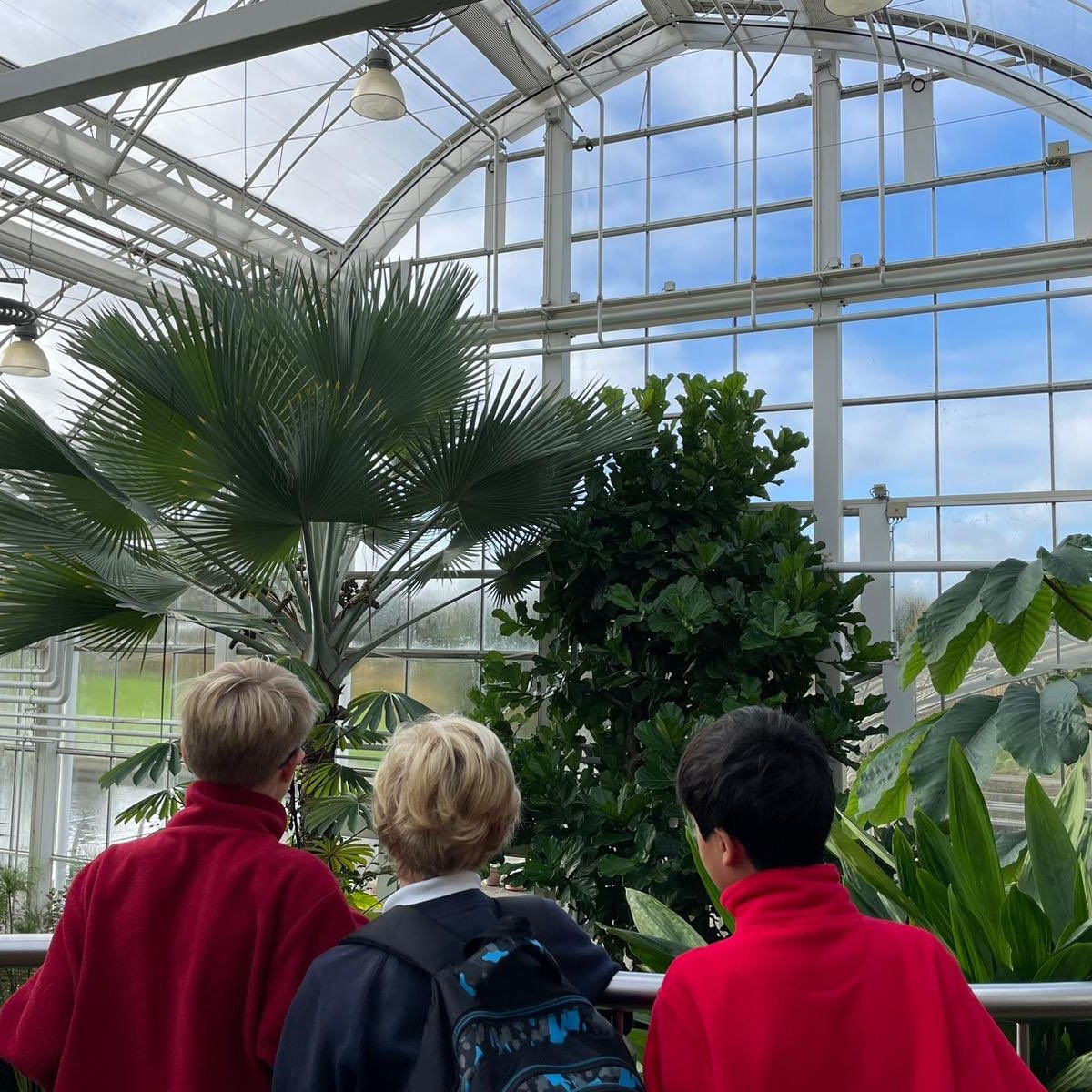 Holy Trinity Pewley Down School - Y6 Wisley