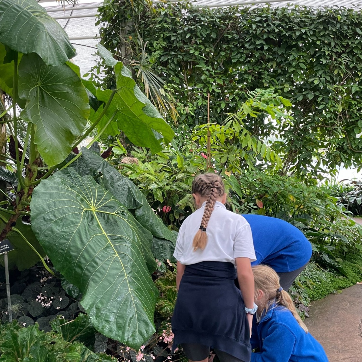 Holy Trinity Pewley Down School - Year 6 Wisley